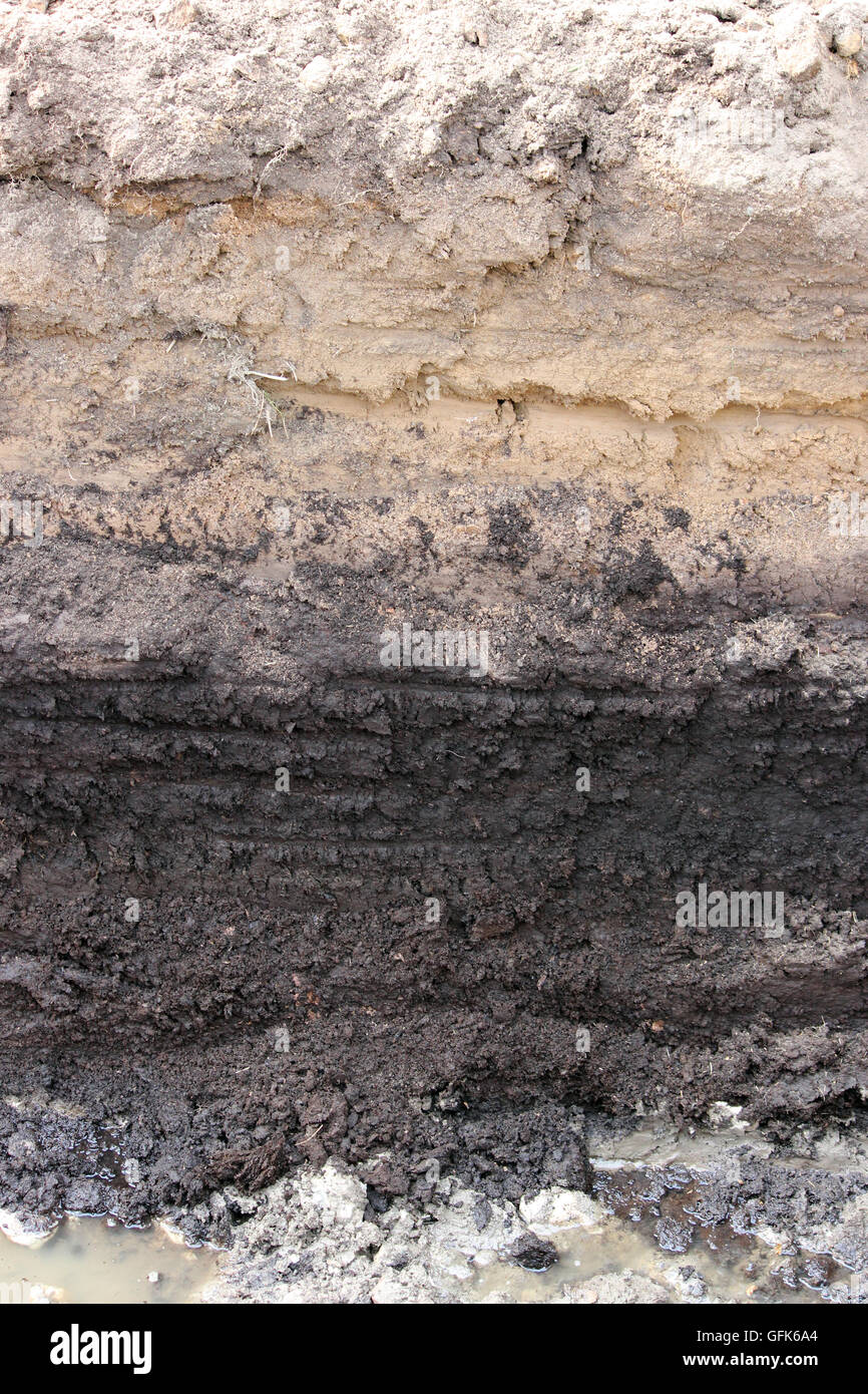 the trench depth and the earth layers, visible under peat extraction in ...