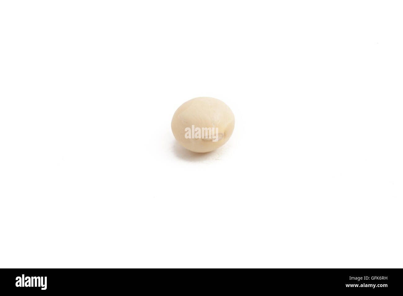 One single bean hi-res stock photography and images - Alamy