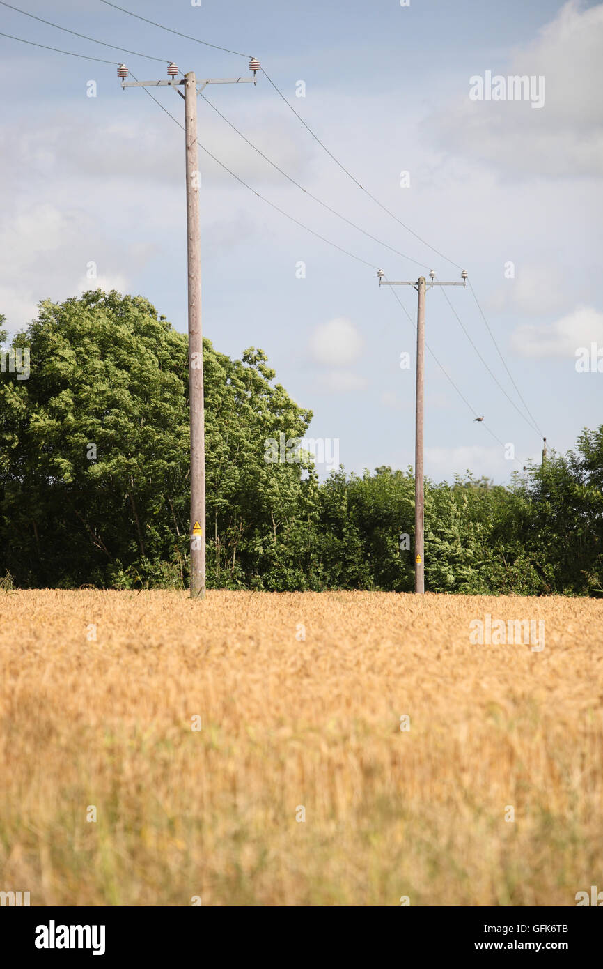 Beige wheat hi-res stock photography and images - Alamy