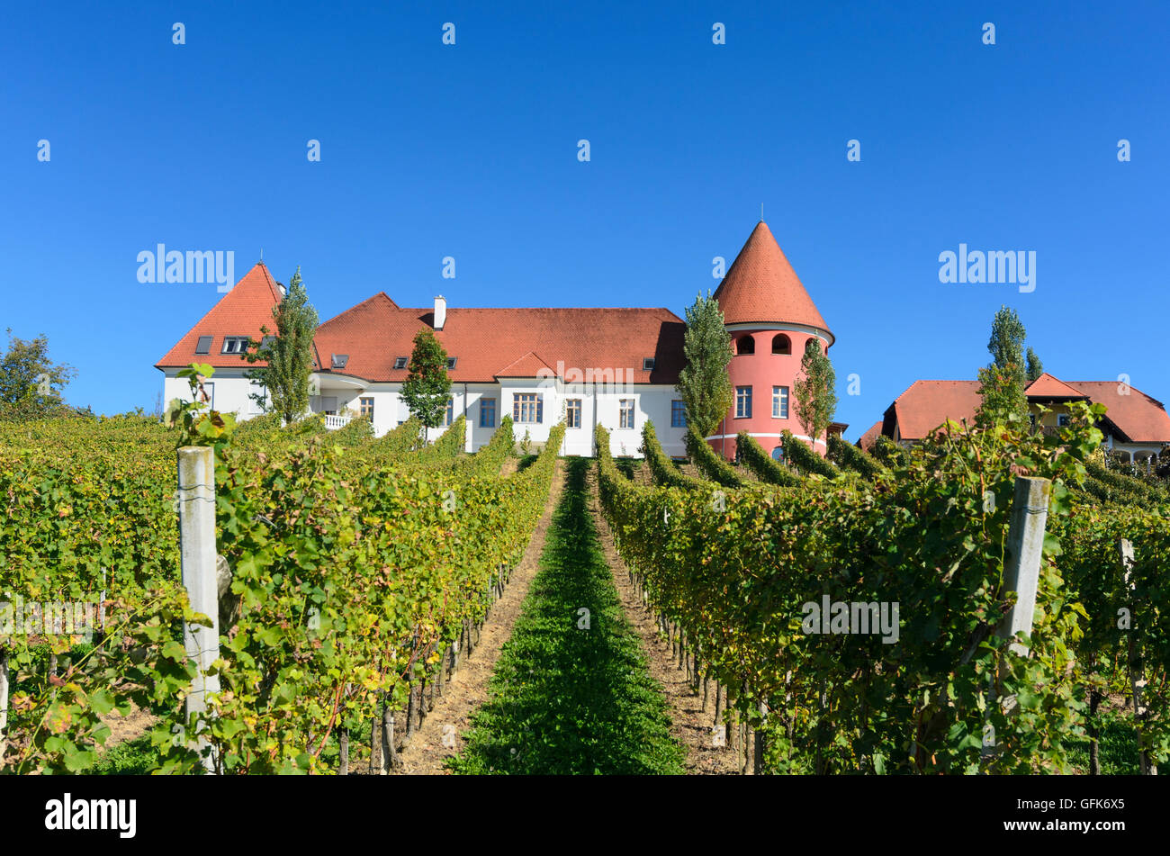 Schloss winery thaller hi-res stock photography and images - Alamy