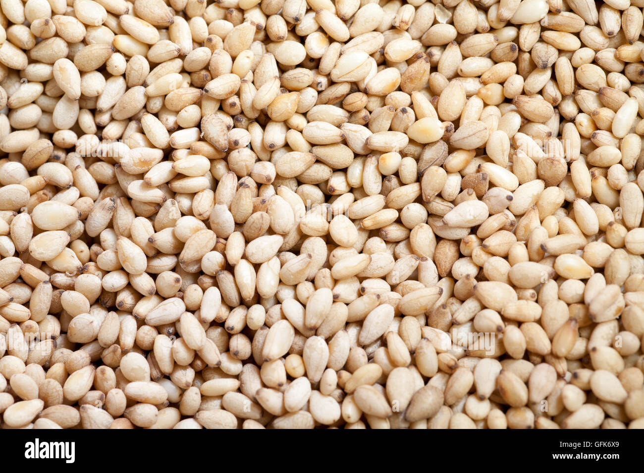 White sesame in full frame Stock Photo - Alamy