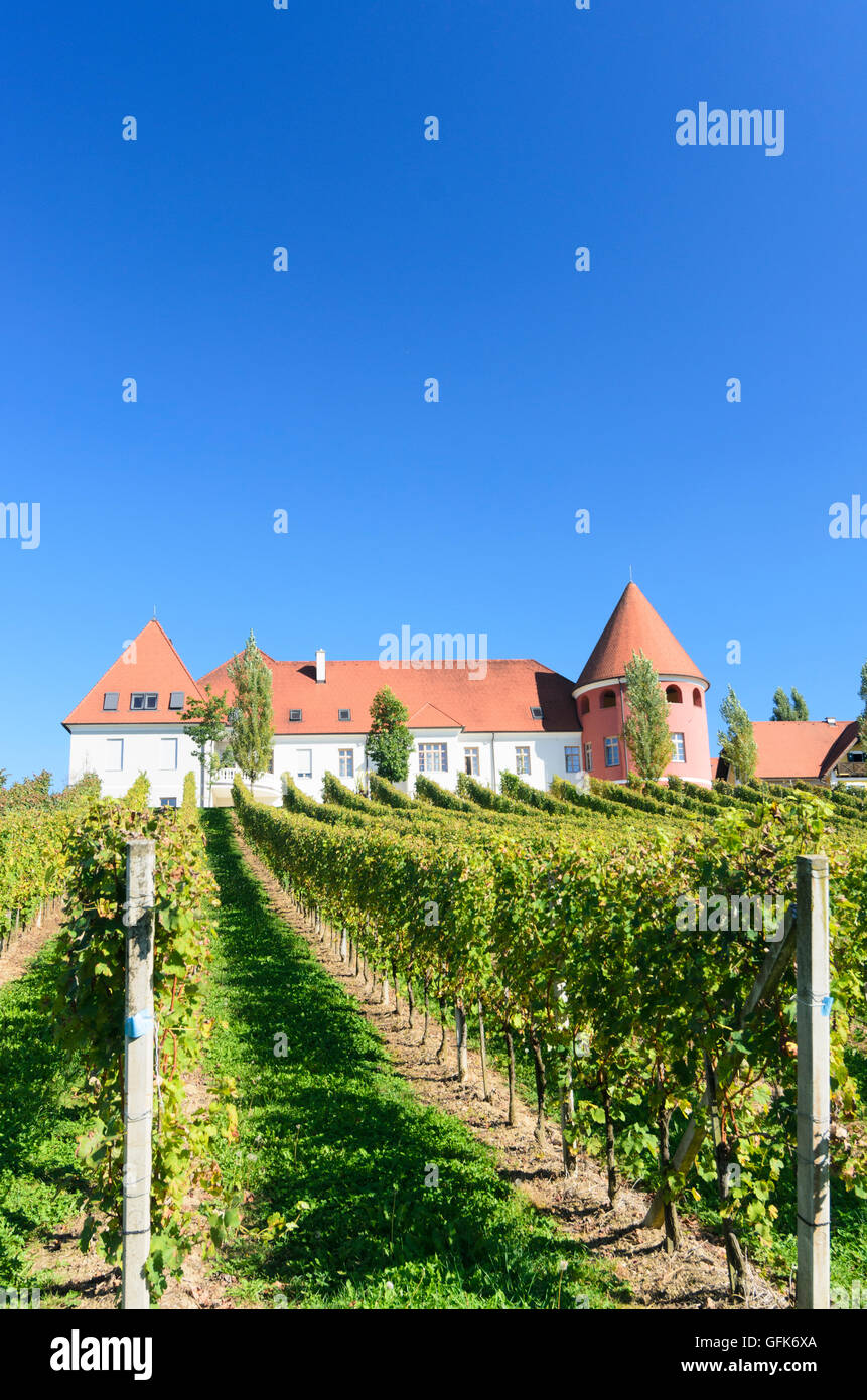 Schloss winery thaller hi-res stock photography and images - Alamy