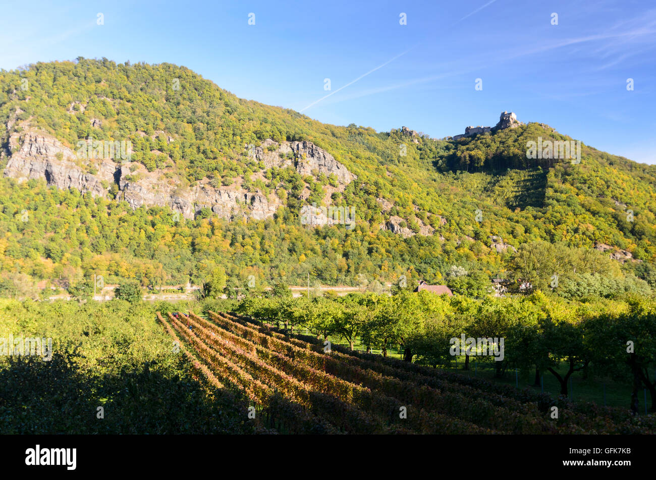 Schönbühel-Aggsbach: Aggstein castle on the Danube, vineyard, Austria ...