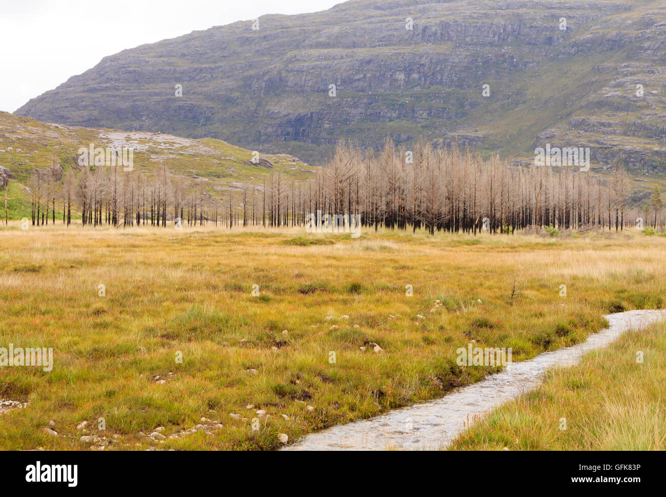 Scottish river trough countryside. Perspective river view. Scotland ...