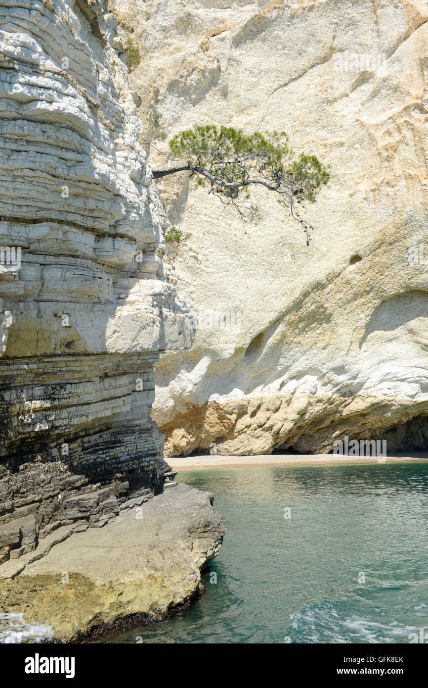 Gargano national park hi-res stock photography and images - Alamy
