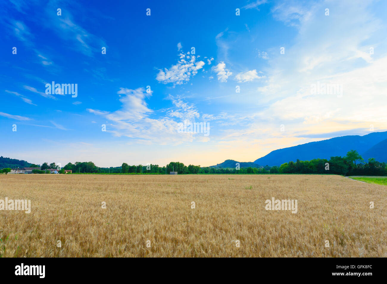 Italian countryside hi-res stock photography and images - Alamy