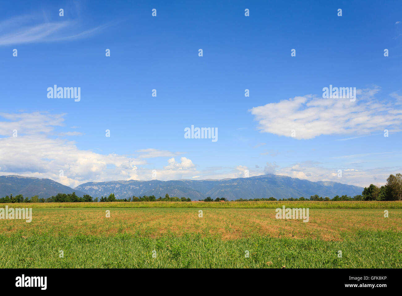 Uncultivated field with mountains in background. Italian agriculture ...