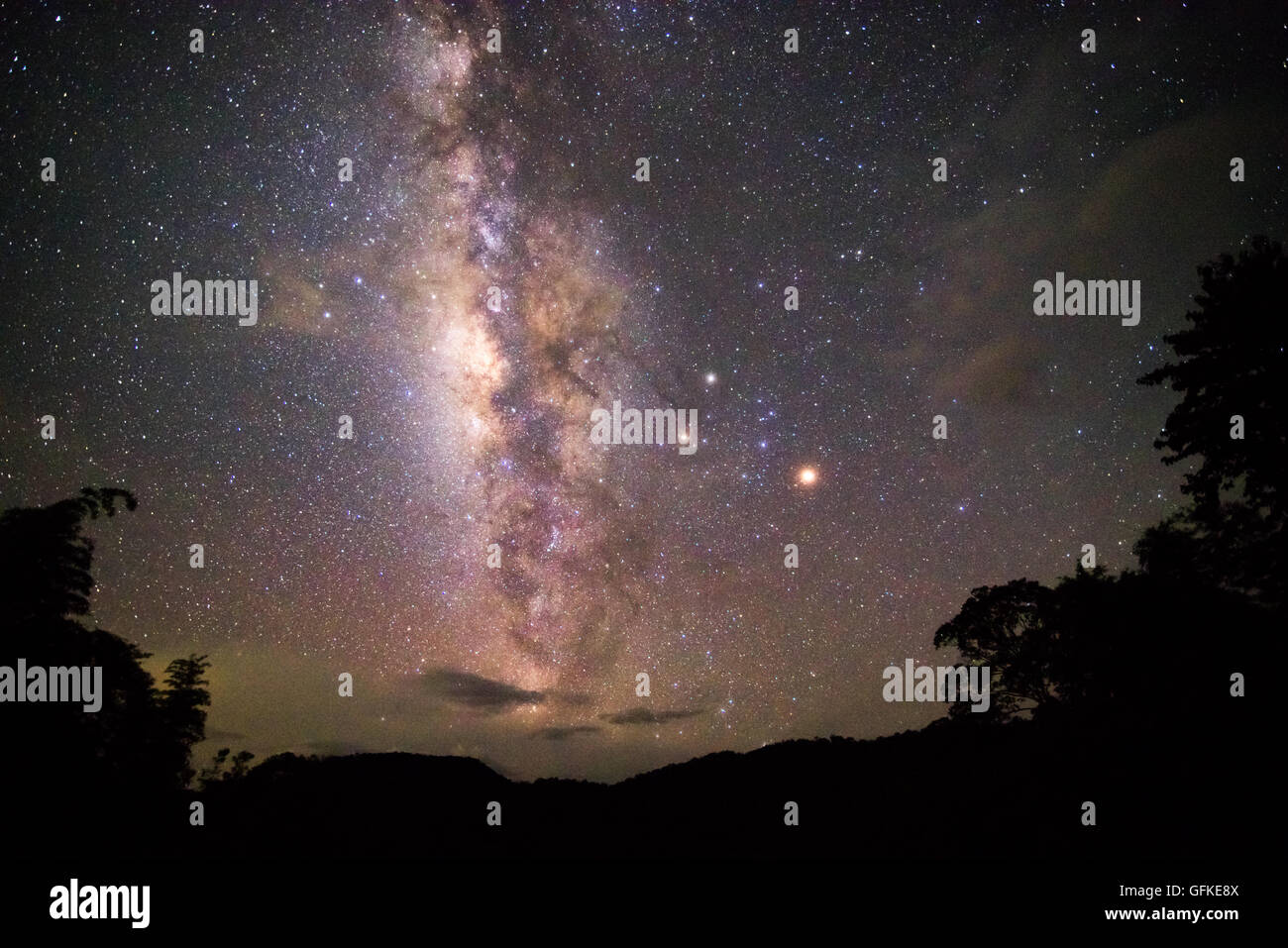 The Milky Way and some trees Stock Photo - Alamy