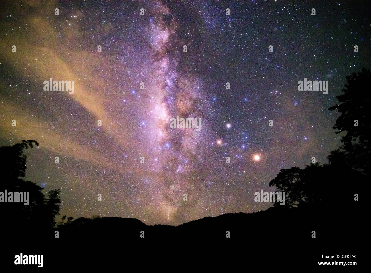 The Milky Way and some trees Stock Photo - Alamy
