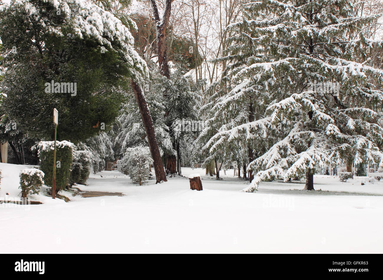 Winter snow on walkway in a public park Stock Photo - Alamy