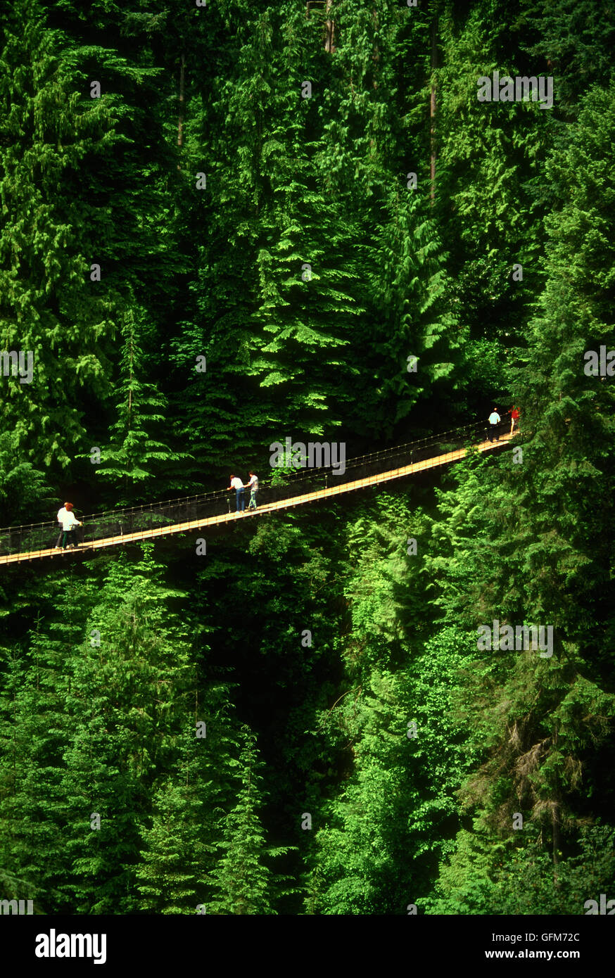 The Capilano Suspension Bridge crosses the Capilano River in the ...