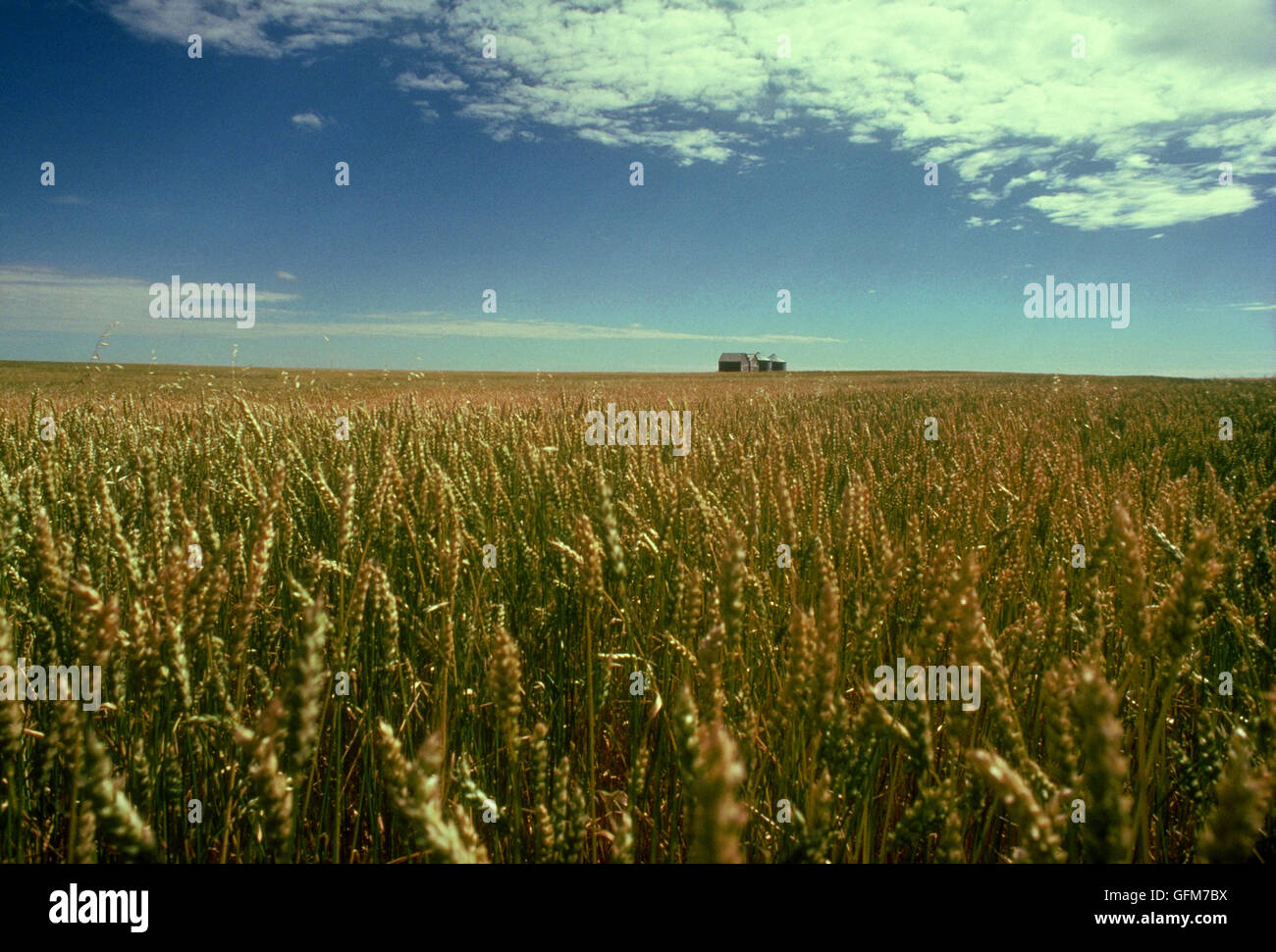 Per supplies hi-res stock photography and images - Alamy