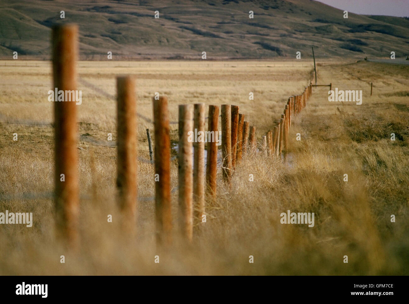A lone fence winds through the prairie in Manitoba near Argyle. Canada ...
