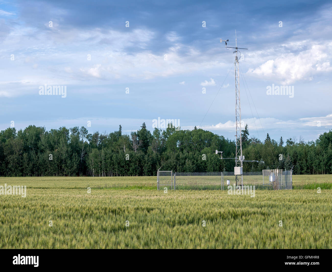 Weather station in a wheat field Stock Photo - Alamy