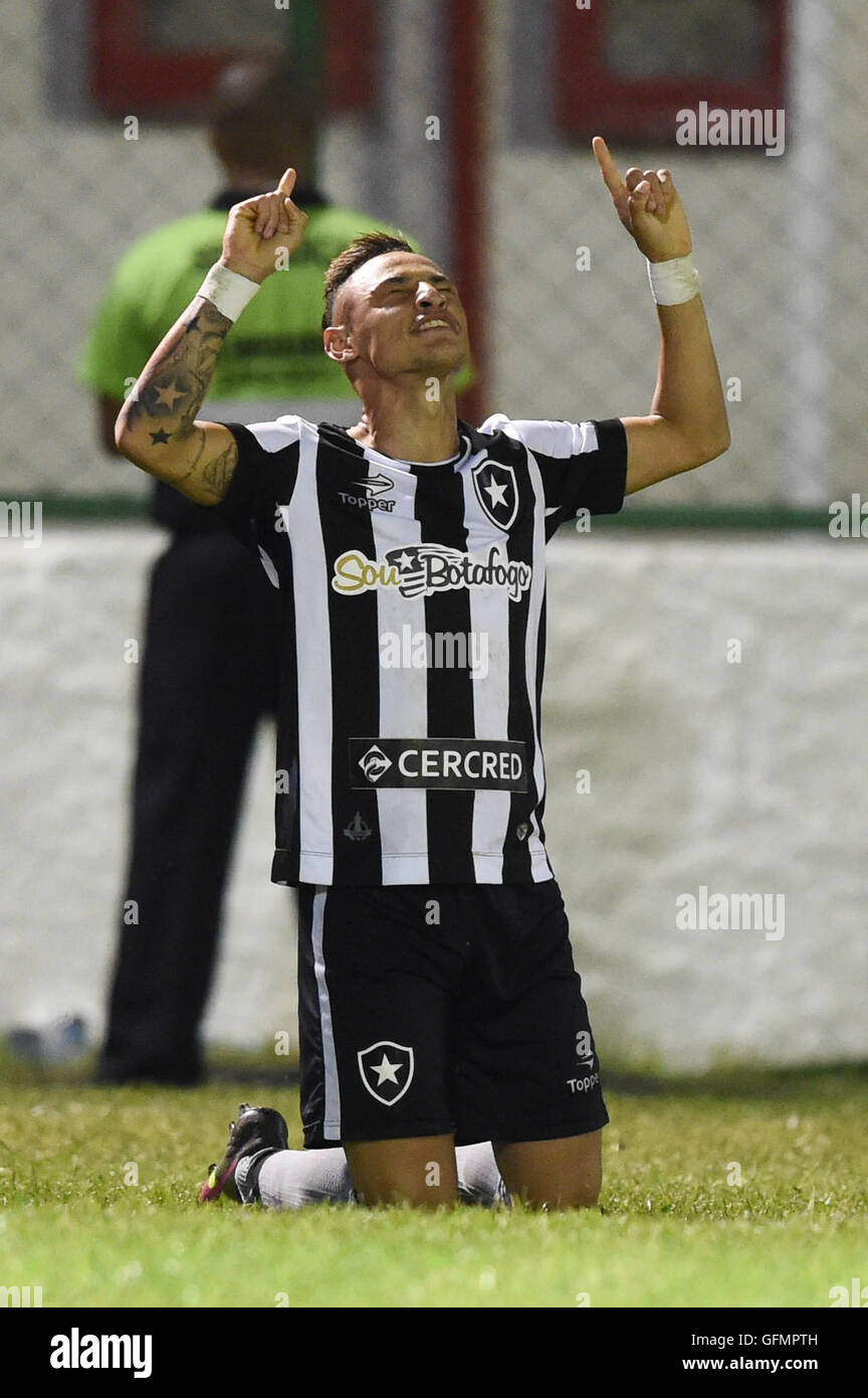 Neilton celebrates goal during Botafogo x Palmeira in a game for the ...