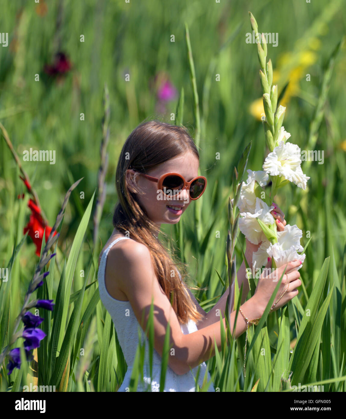 Dasing hi-res stock photography and images - Alamy