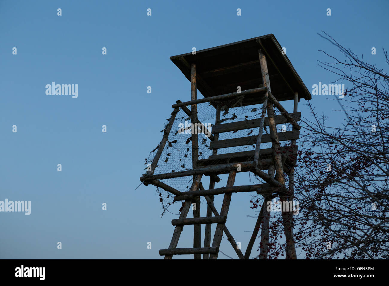 Wooden Hunters High Seat hunting tower Stock Photo - Alamy