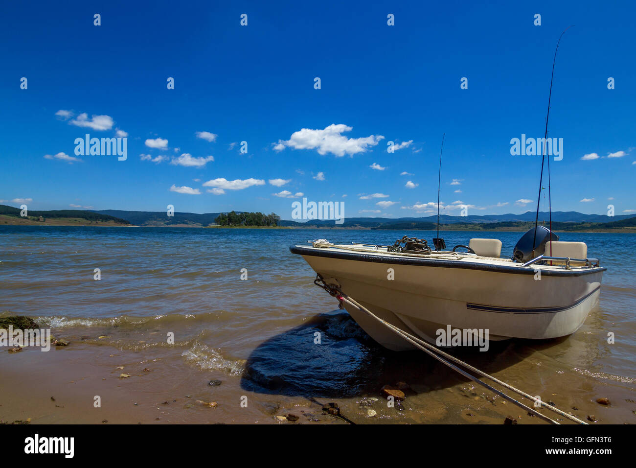 Bulgarian wildlife hi-res stock photography and images - Alamy