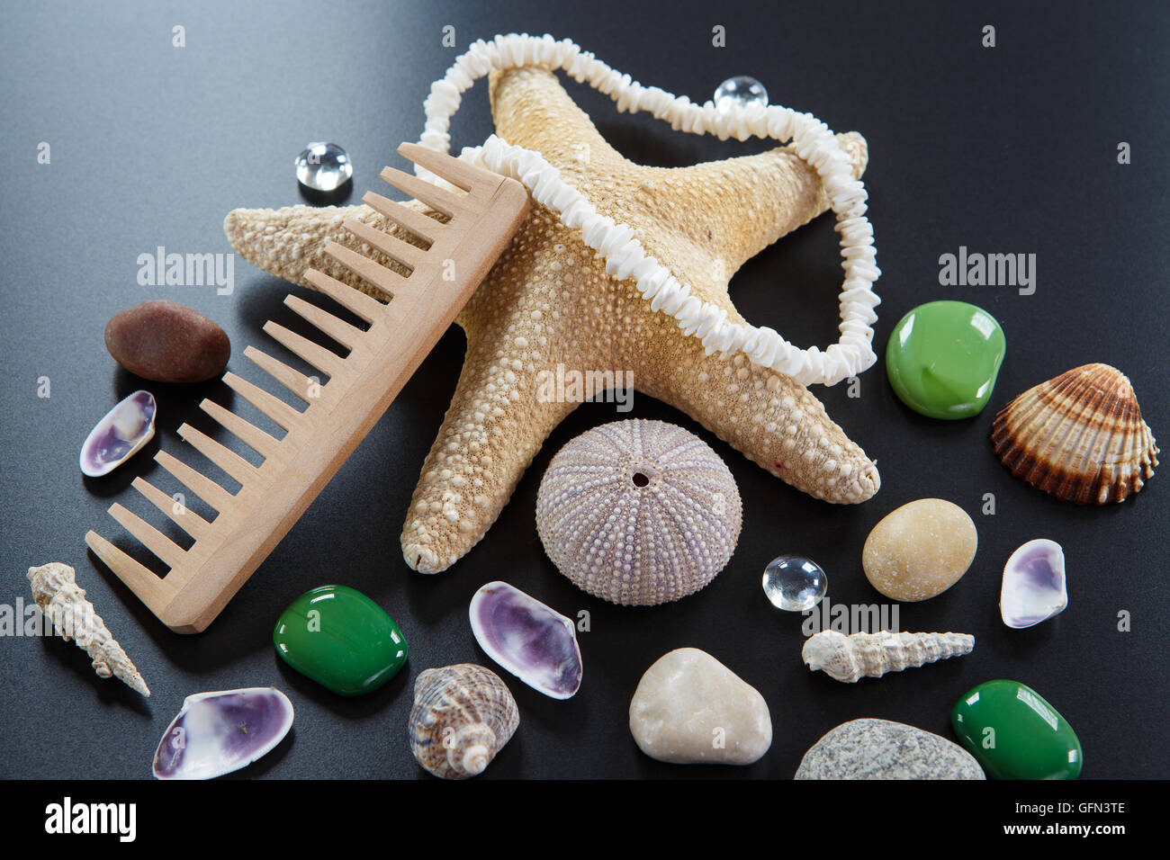 Background with different shells and sea five-pointed stars Stock Photo ...