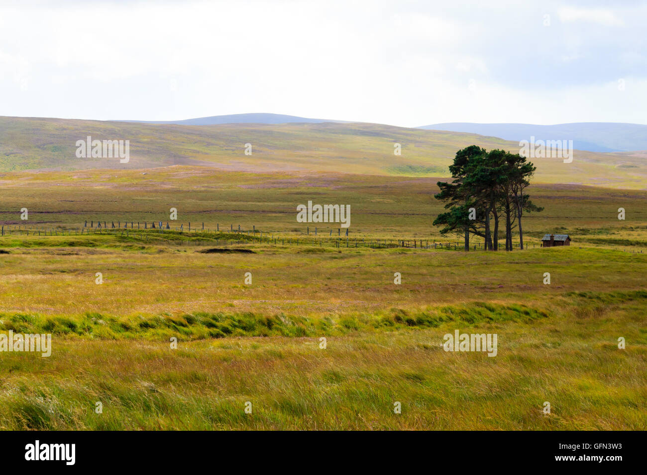 Scottish road trough countryside. Perspective road. Scotland panorama ...