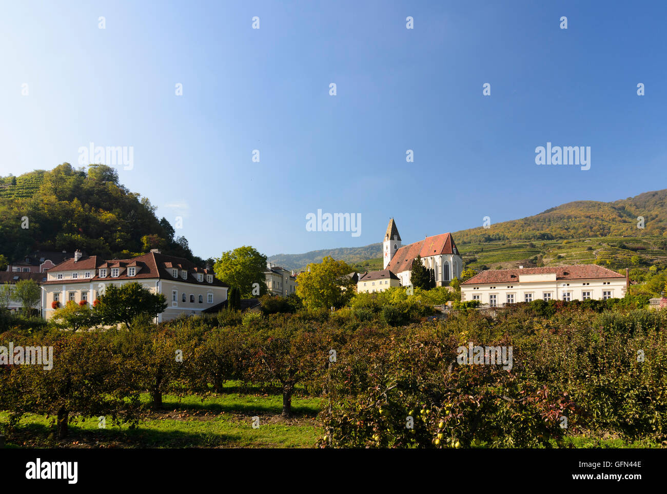 Spitz an der Donau: orchard, church, vineyard, Austria ...