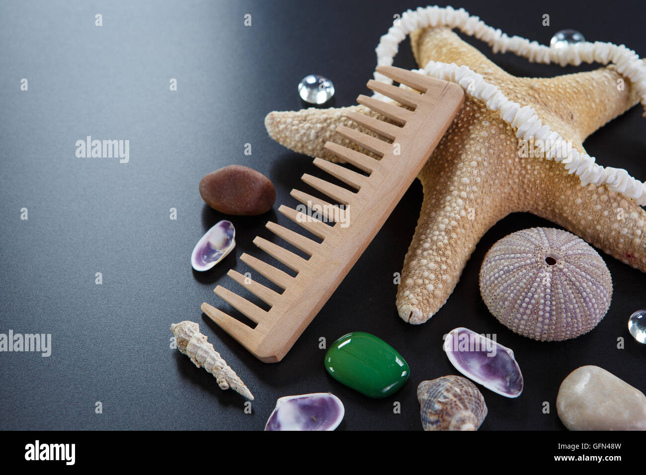 Background with different shells and sea five-pointed stars Stock Photo ...