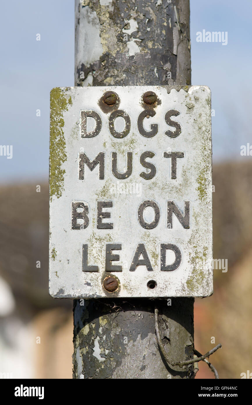 Safety sign lead hi-res stock photography and images - Alamy