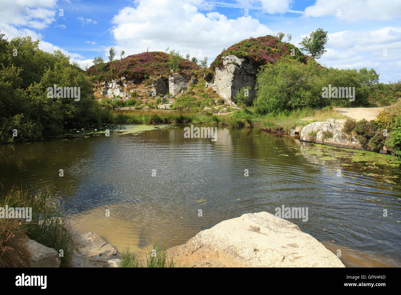 Haytor disused granite quarry, Dartmoor National Park, Devon, England ...