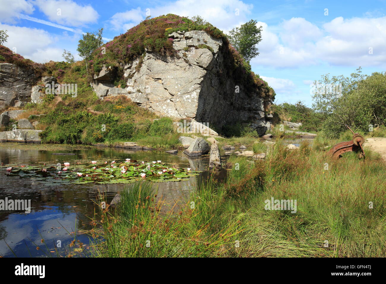 Haytor disused granite quarry, Dartmoor National Park, Devon, England ...