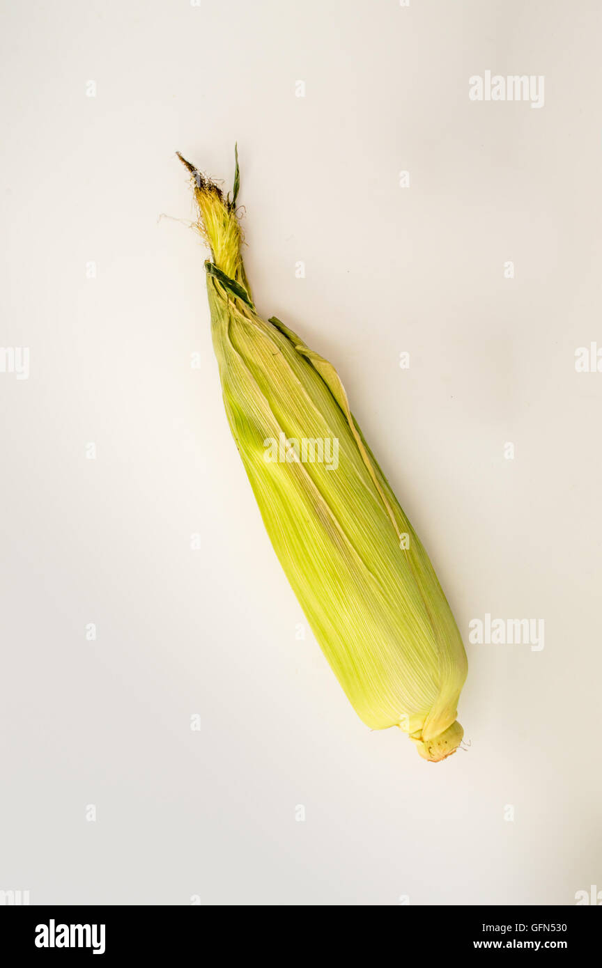 Corn cob tassel agriculture hi-res stock photography and images - Alamy