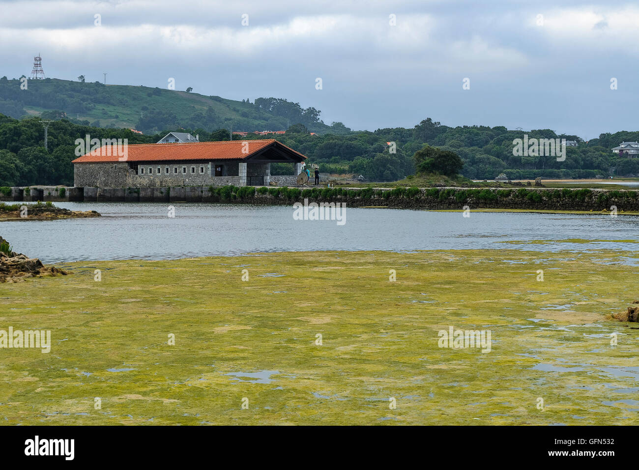 Watermill in marine, Noja, Isla, Cantabria, Spain Stock Photo - Alamy