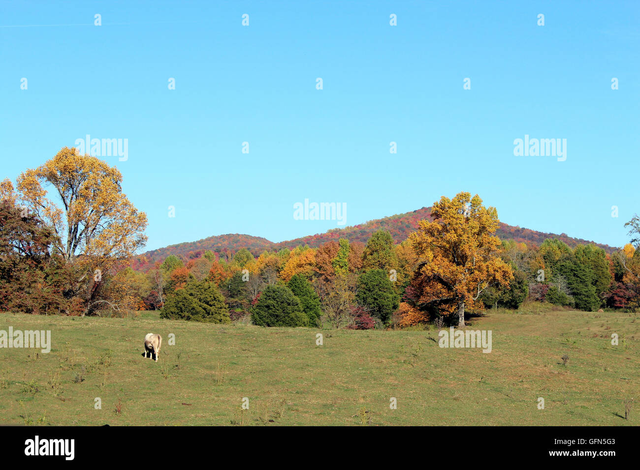 Fall in tennessee hi-res stock photography and images - Alamy