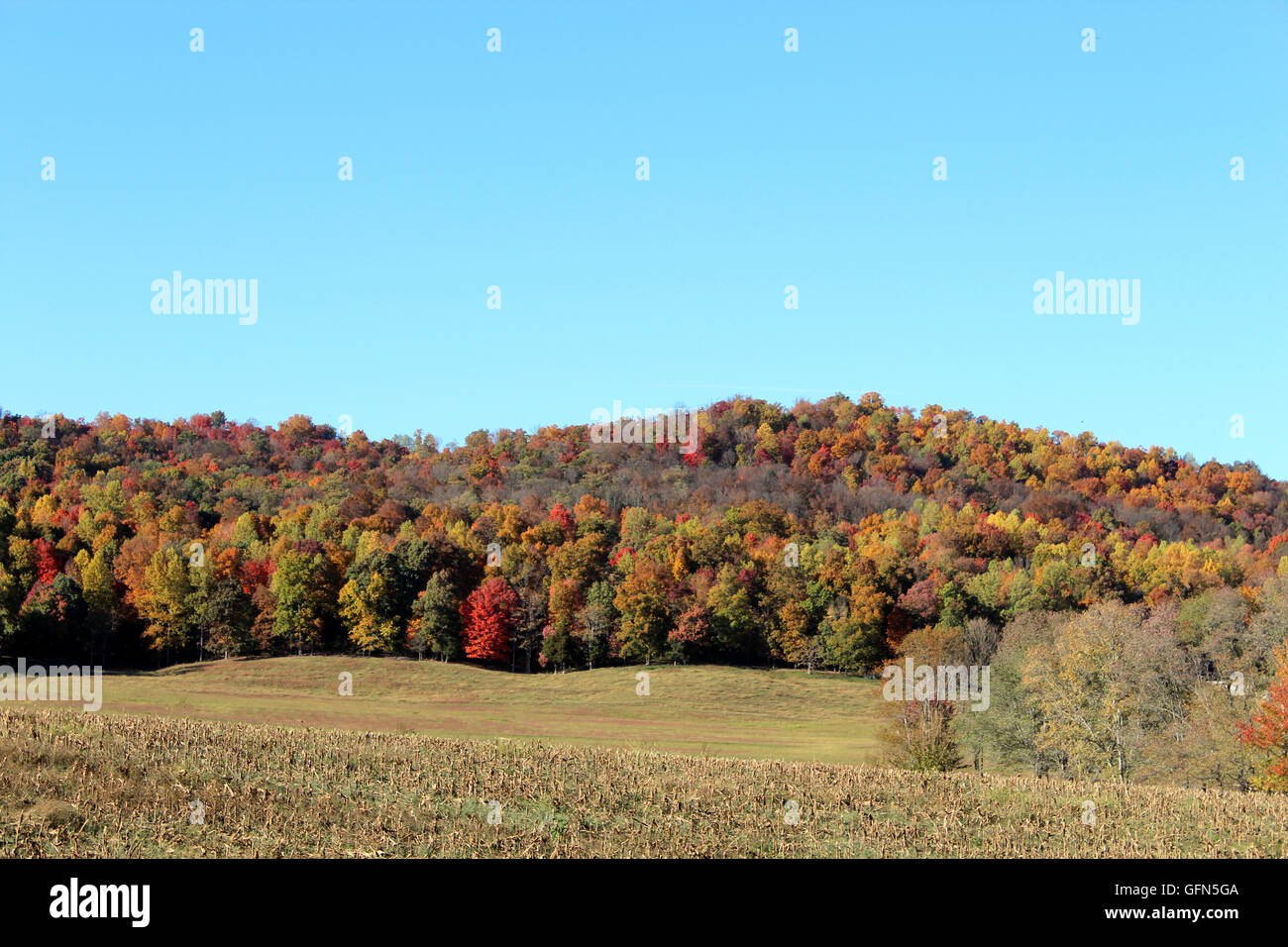 Tennessee fall colors hi-res stock photography and images - Alamy