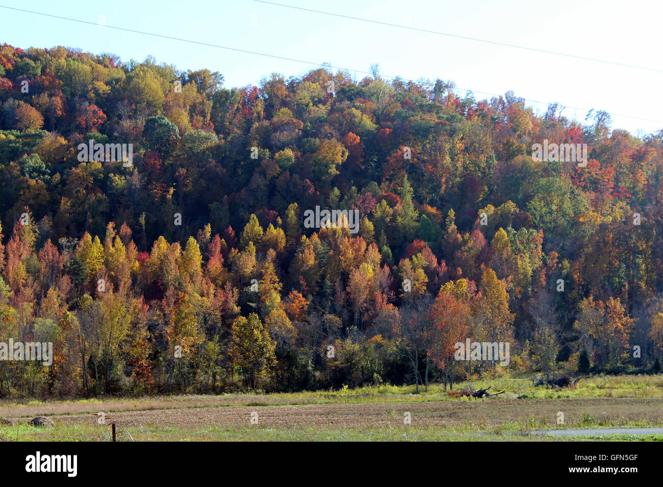 Fall colors in TN Stock Photo - Alamy