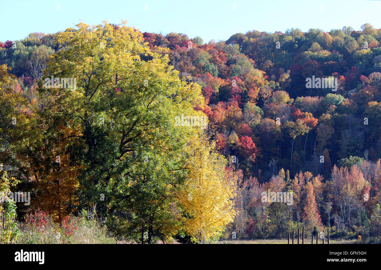 Cumberland plateau fall hi-res stock photography and images - Alamy