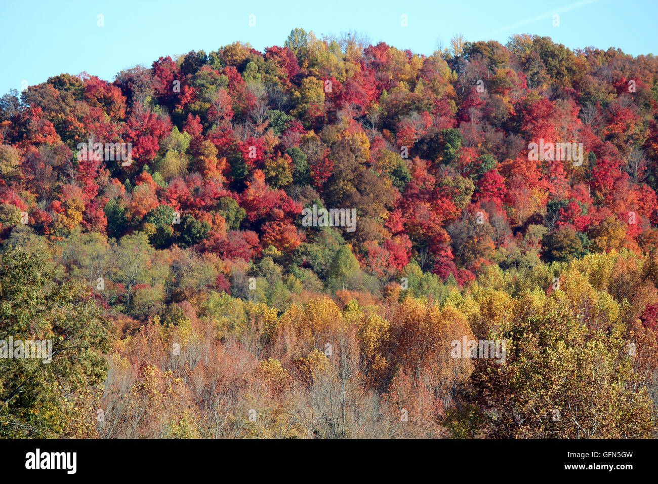 Fall colors in TN Stock Photo - Alamy