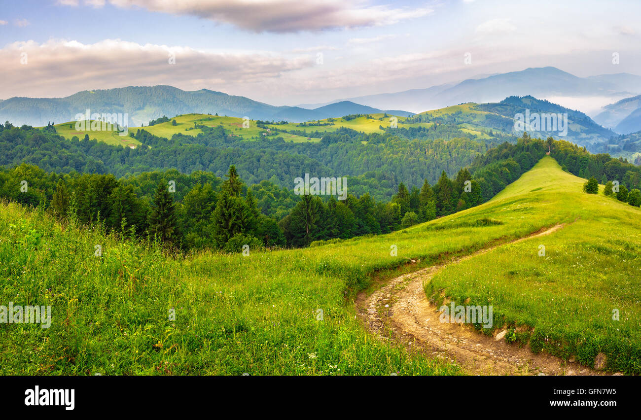 composite landscape with empty road to coniferous forest through the ...