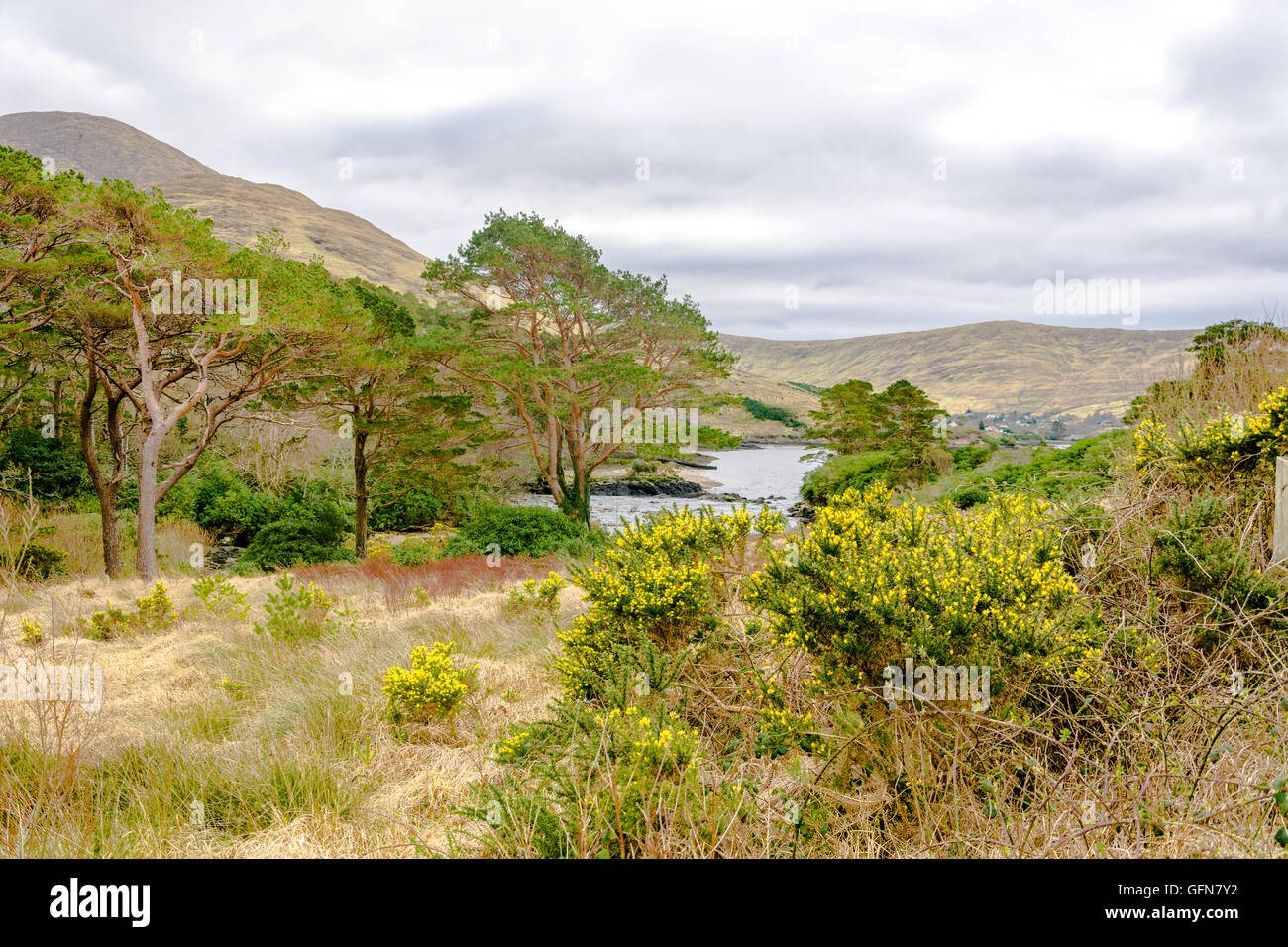 Rugged nature scene hi-res stock photography and images - Alamy