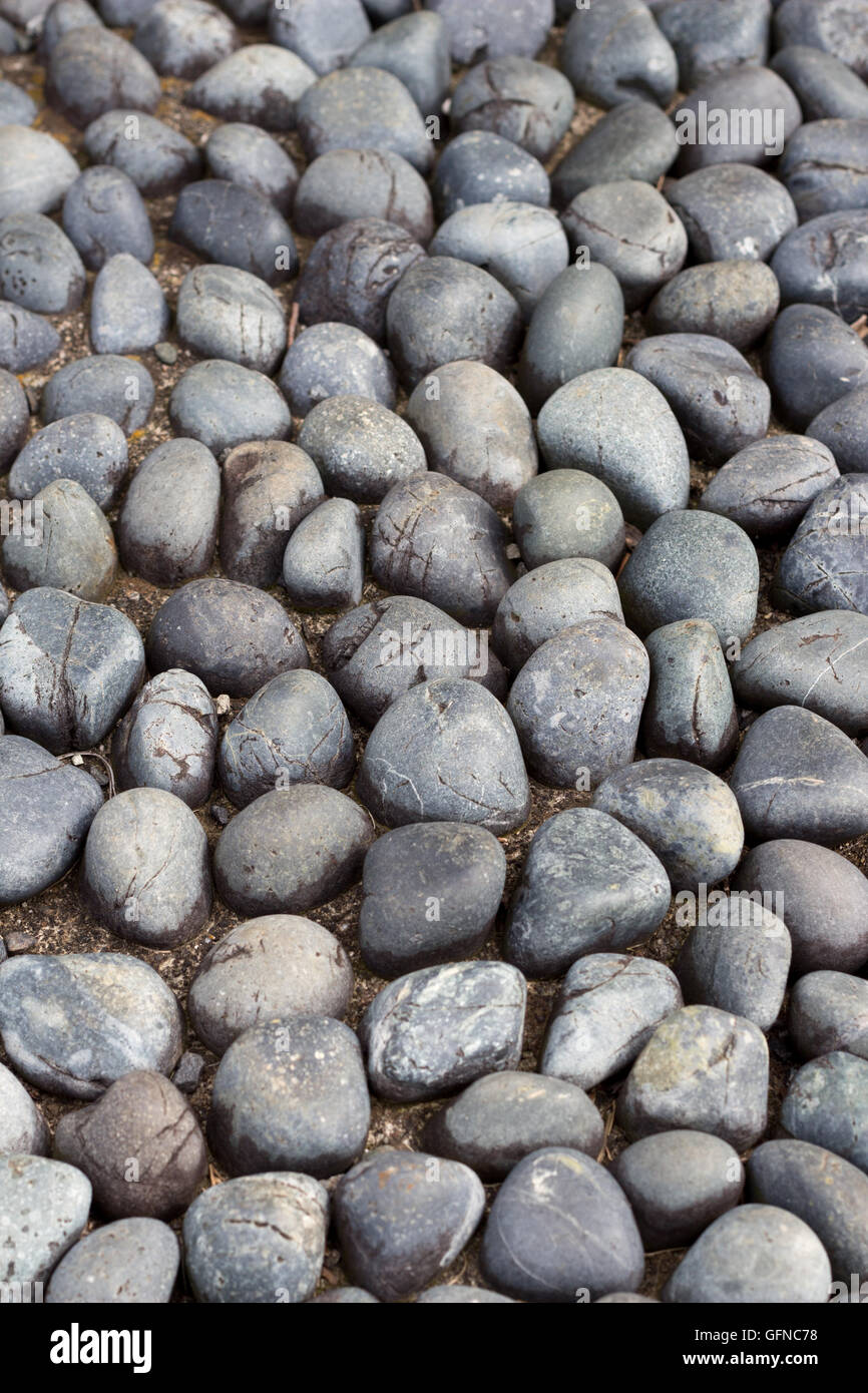 Round sleek cobbles in full frame Stock Photo - Alamy