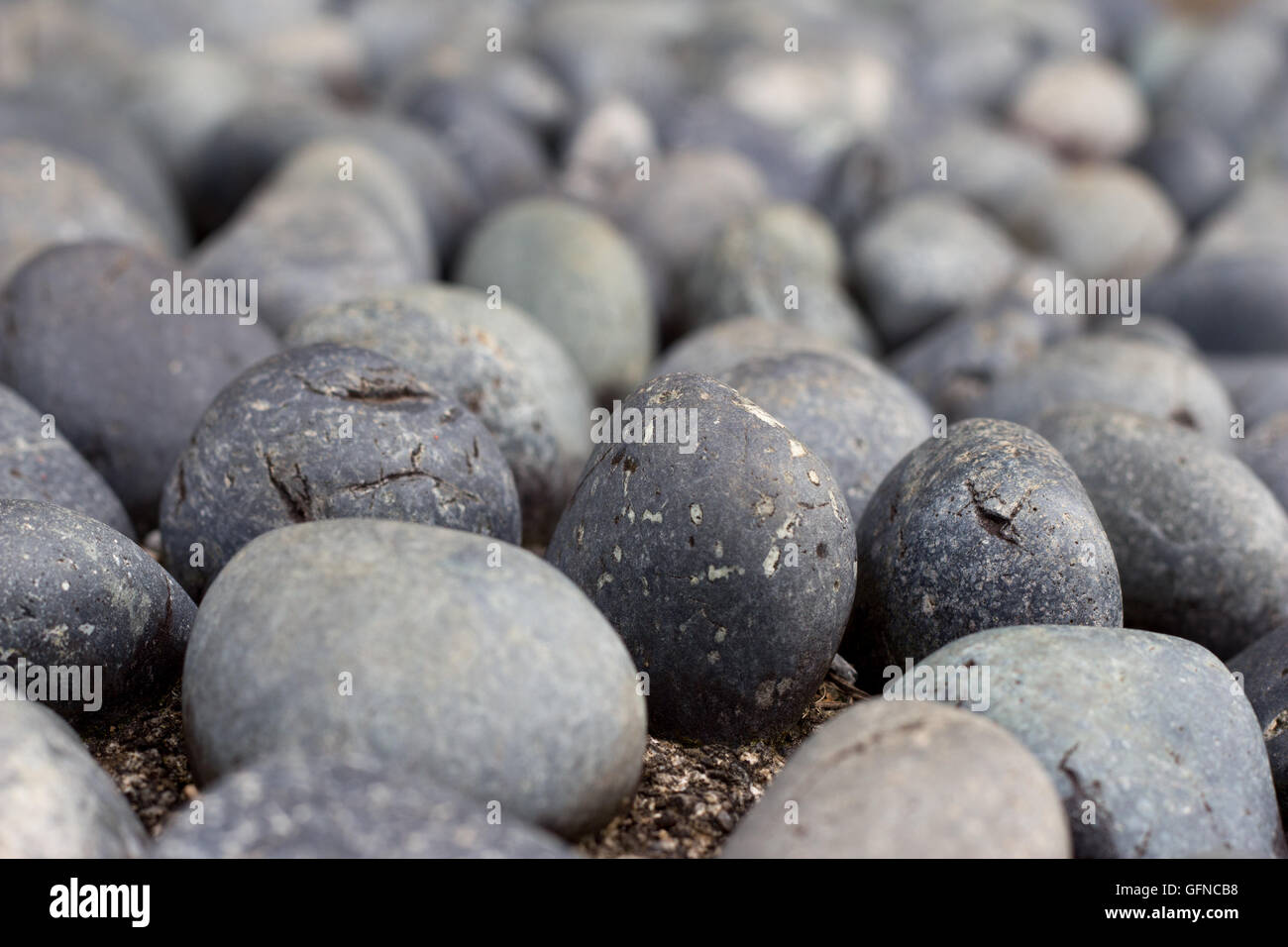 Sleek frame hi-res stock photography and images - Alamy