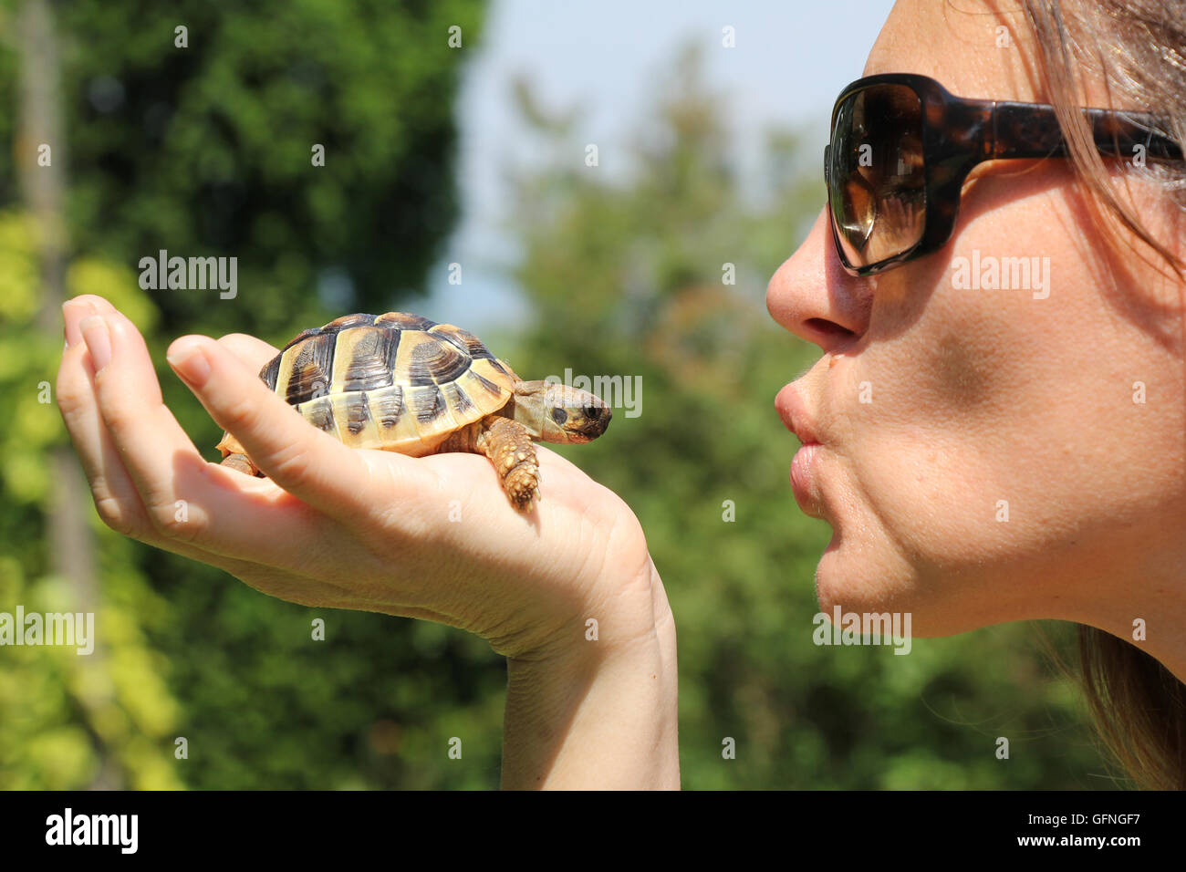 Pet turtles hi-res stock photography and images - Alamy