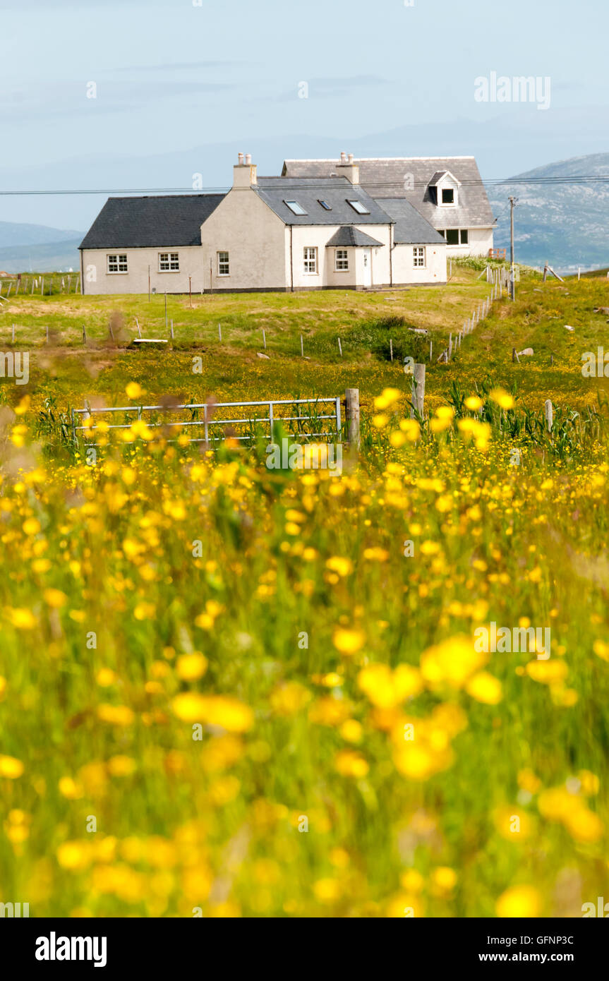 Houses in the small settlement of Eoligarry seen over a field of ...