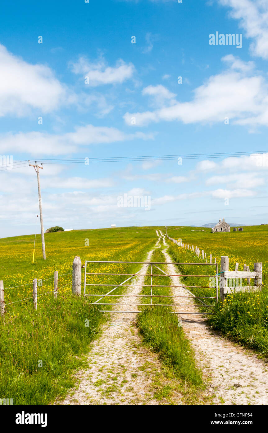 Grass track through field hi-res stock photography and images - Alamy