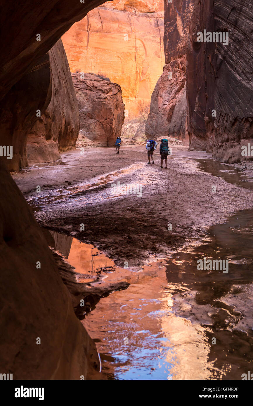 Buckskin gulch hike hi-res stock photography and images - Alamy