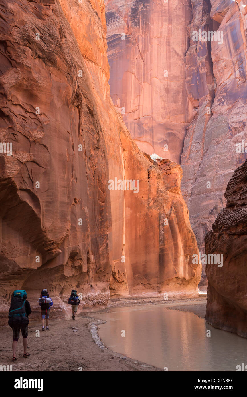 Typical hiking in the Paria narrows Stock Photo - Alamy