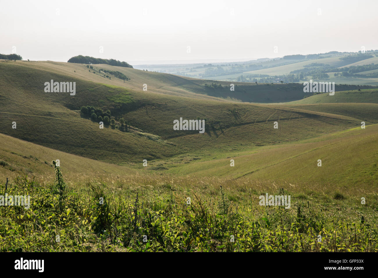 Letcombe hi-res stock photography and images - Alamy