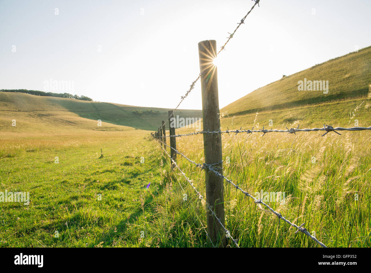Letcombe hi-res stock photography and images - Alamy