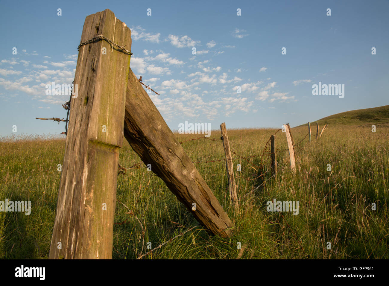 Letcombe hi-res stock photography and images - Alamy