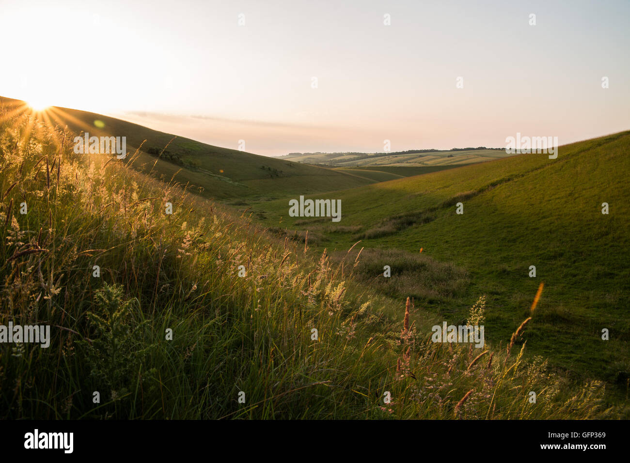 Letcombe hi-res stock photography and images - Alamy