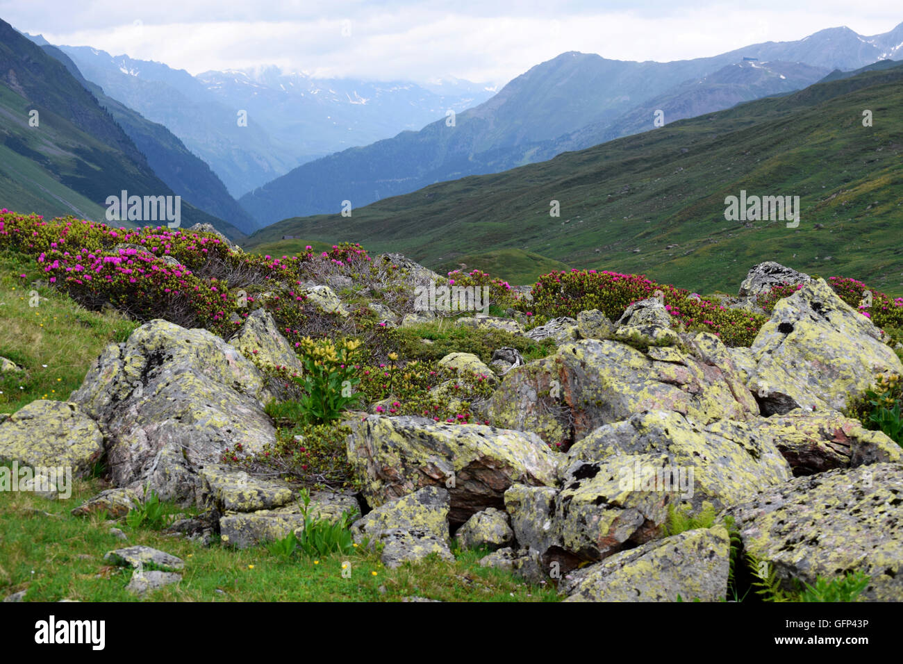 Summer in the Austrian Alps above Ischgl and Galtur, with a snowy ...